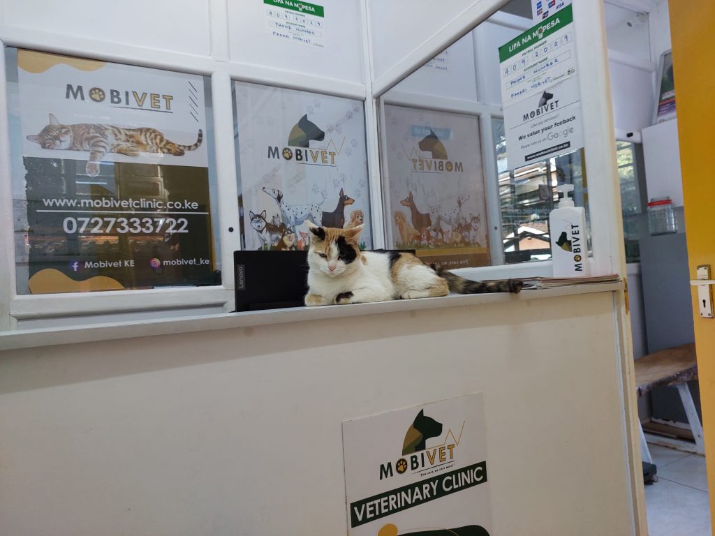 Gallery – Mobivet Clinic