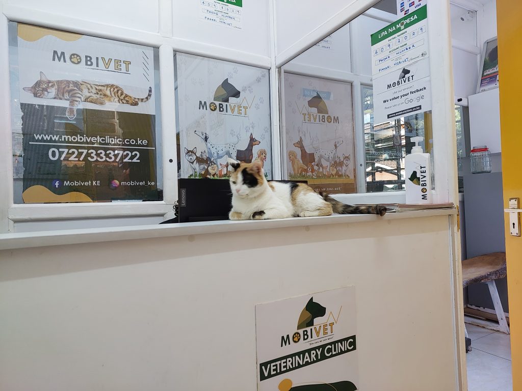 Gallery – Mobivet Clinic